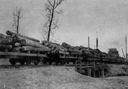 With Frost at Jasper (Gulf Coast Lumberman, 1938)